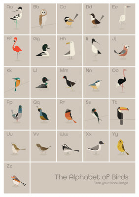 57MW21 - The Alphabet of Birds Greeting Card (6 Cards) – The Heart of a ...
