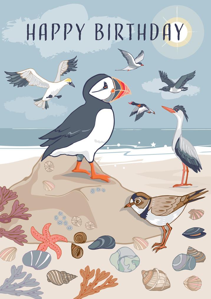 57AS138 - Happy Birthday (Sea Birds) Greeting Card (6 Cards) – The ...