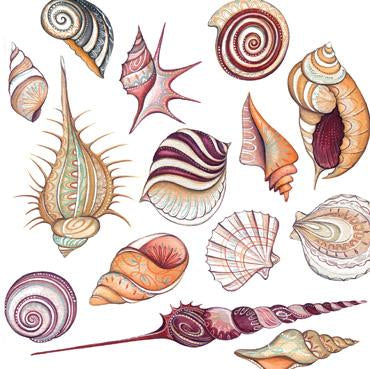 RT130 - Seashells Greeting Card – The Heart of a Garden/ArtEco (trade ...
